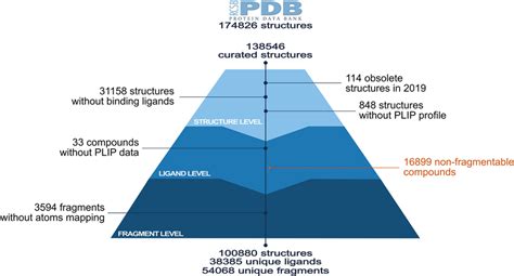 Pdb Fragments Data Set Construction From The Top Starting Point Of The