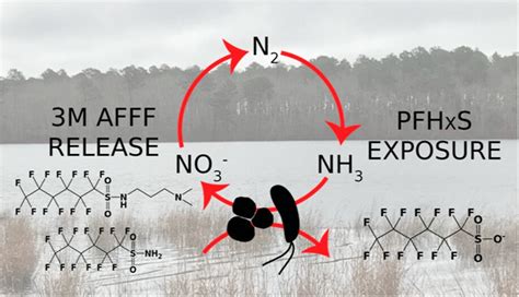 Microbial Superpowers Environmental Bacteria Can Transform Precursor Pfas In Afff Contaminated