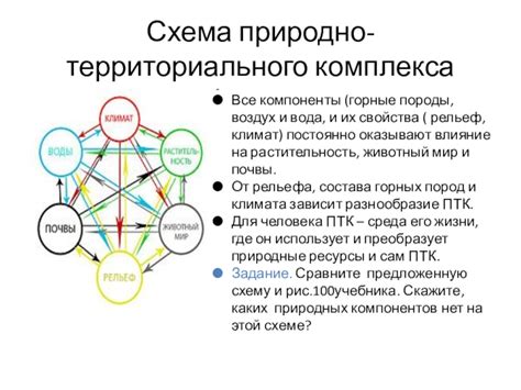 Состав природно территориального комплекса