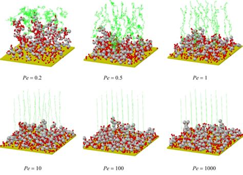 Trajectories Of Particles Motion With Different Pe Download