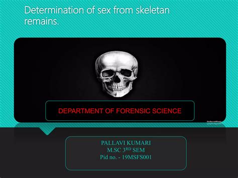 Determination Of Sex From Skeletal Remains Pptx Determination Of Sex From Skeletal Remains Pptx