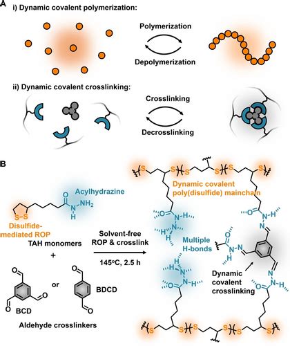 A Chemically Recyclable Crosslinked Polymer Network Enabled By Orthogonal Dynamic Covalent