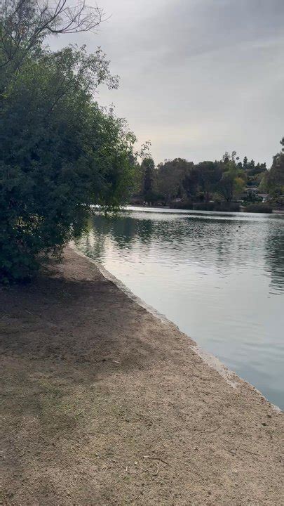 Laguna Lake Park Updated June 2026 689 Photos And 149 Reviews 3120