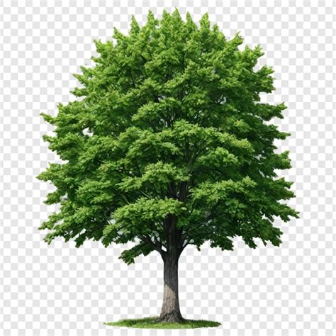 Treelove PSD High Quality Free PSD Templates For Download