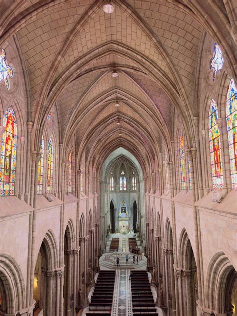 실내 가톨릭교 건축 고딕 양식의 건축물 관광 국가 서약 국가 서약의 대성당 기도 기독교 기독교 교회 나무 의자 남아메리카 대성당 돌의 반원형
