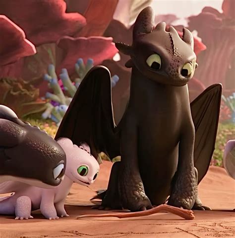 Toothless Pouncer And Dart How To Train Dragon How Train Your Dragon How To Train Your Dragon
