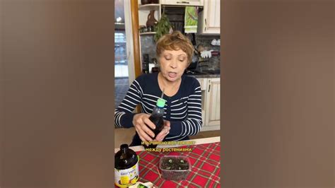 Лучшая подкормка для эустомы Youtube