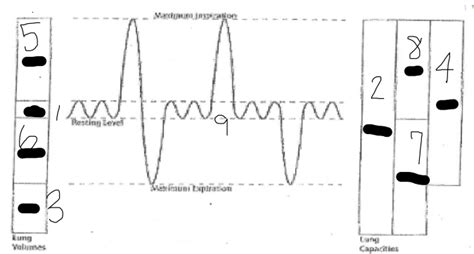 Unit Diagram Quizlet