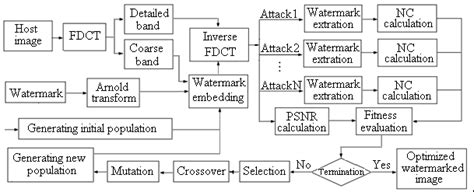 The Proposed Watermarking Scheme Step 1 Perform Arnold Transform On Download Scientific