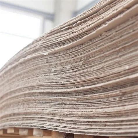 Wood And Paper Pulp White Hardwood Pulp Manufacturer From New Delhi