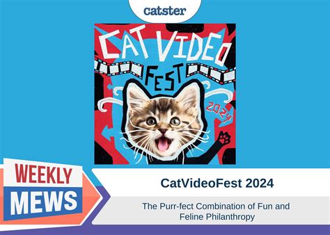 Ear Polyps In Cats Causes Signs And Care Vet Answer Catster