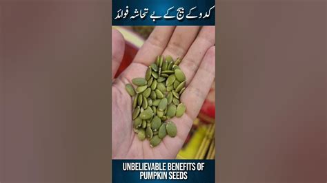 کدو کے بیج کے بے تحاشہ فوائد Youtube