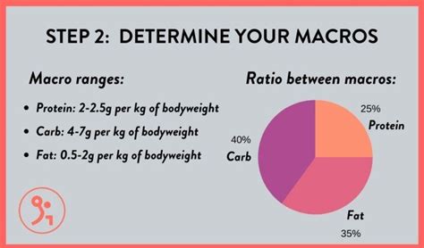 What Should Your Calories Macros Be When Bulking Fitbod