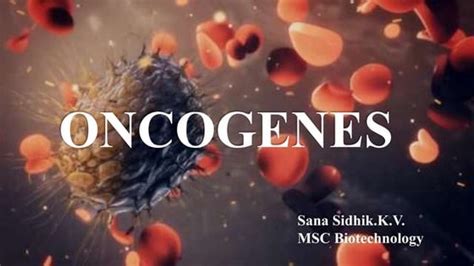 Oncogene And Proto Oncogene Ppt