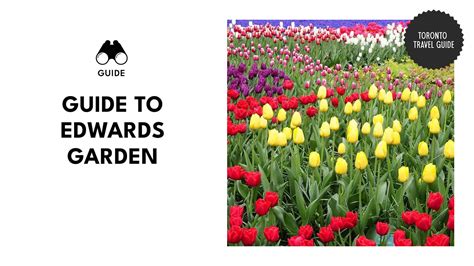 Get To Know Edwards Garden Amenities Events And More