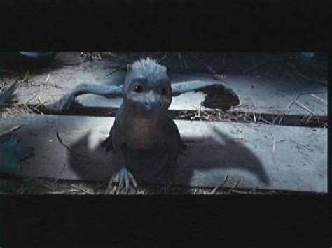 So Cute Saphira Cool Dragon Pictures Dragon Images My Fantasy World High Fantasy Magical