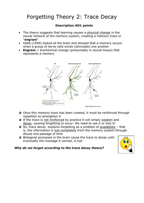 Forgetting Theory 2 Trace Decay