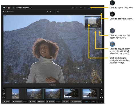 Navigate The DF Studio Interface Knowledge Base