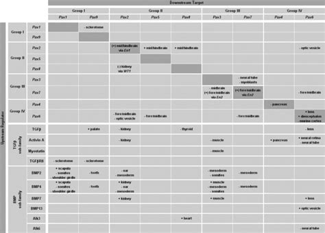 Summary Of Self Regulation Currently Reported Within The Pax Gene Download Scientific Diagram