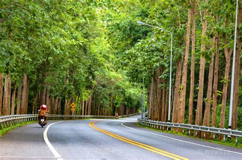ห้วยขาแข้ง ถนนลานสัก เขียวสวยมากเลยหน้าฝนปีนี้ ลานสัก อุทัยธานี บุฟเฟ่ต์ทุเรียนป่าเงาฝน