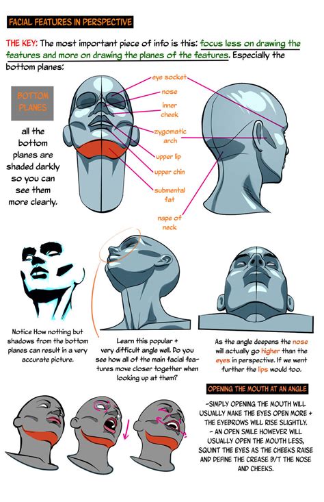 Help Me Draw • Heads Up Drawing The Head From A Low Angle By