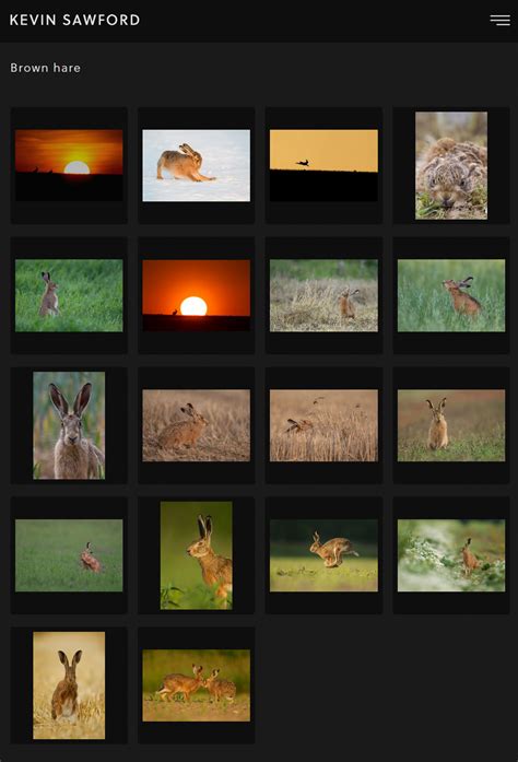 파카 프사 원본 진짜 사진이었네 치지직 에펨코리아