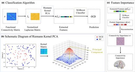 Flowcharts Of The Proposed Disease Diagnosis Algorithm By Using Riemann