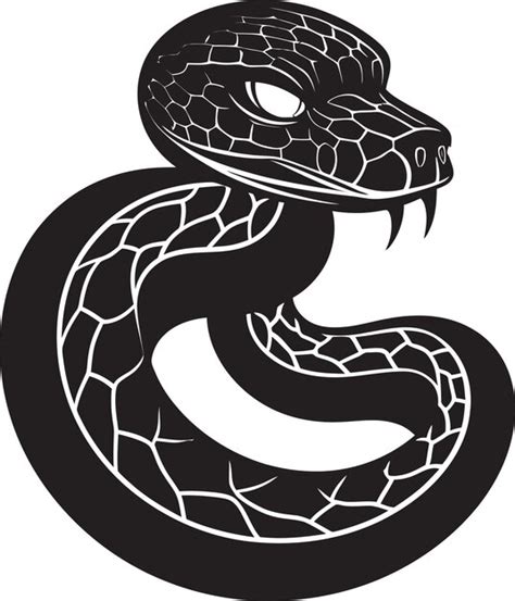 Vector Magic Pythons Creative Side Unleashed Python Graphics From