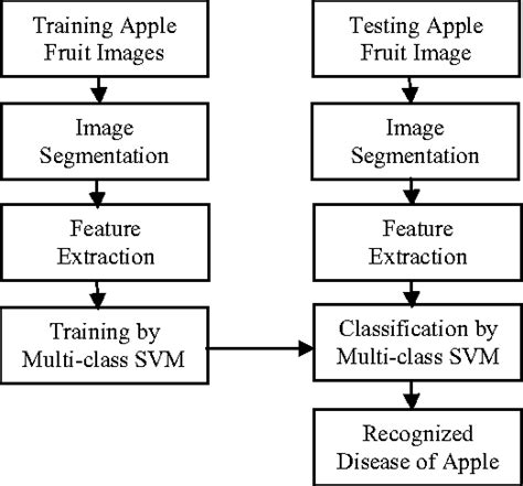 Figure 3 From Detection And Classification Of Apple Fruit Diseases Using Complete Local Binary