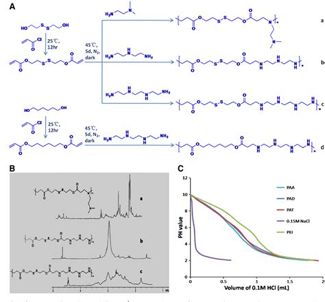 Figure 1 From Bioreducible Poly β Amino Estersshrna Complex