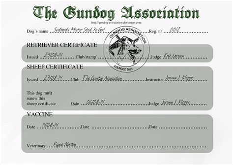 Ymir Combi Certificate By Svalbardranch On Deviantart