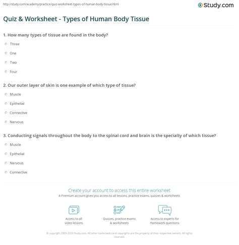 Quiz Worksheet Types Of Human Body Tissue Study