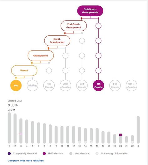 How To Search Dna Segment Data → Dna Doesnt Lie Inh Online