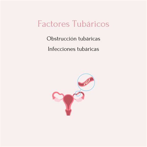 Infertilidad Primaria Causa Tipos Y Tratamientos