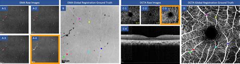 GitHub Pages Site For MEMO