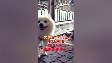 비밀은 없어 룰라 🥰😍😍😍😍🤩🤩 Youtube