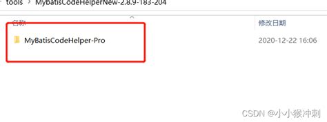 Idea 插件之mybatiscodehelper Csdn博客