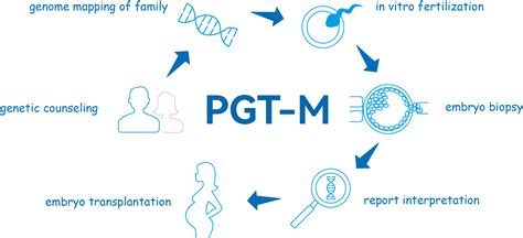 Preimplantation Genetic Testing For Monogenic（pgt M）