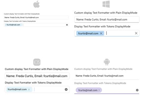 Net Maui Autocomplete Documentation Displaytext Formatter Telerik Ui For Net Maui