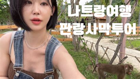 🇻🇳베트남 브이로그 나트랑 8박9일 여행 산티아고 판랑투어 양떼목장 쫑선사원 포도농장 포시즌 레스토랑 판랑사막 포롱자라이 사원 사막투어 Youtube