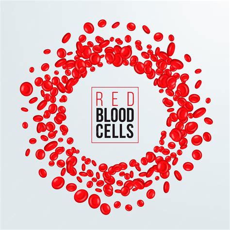 원형 모양으로 흐르는 적혈구 적혈구 건강 관리 개념 벡터 일러스트 레이 션 프리미엄 벡터