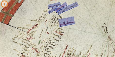 Png To Svg Path Generator Pet Medicine