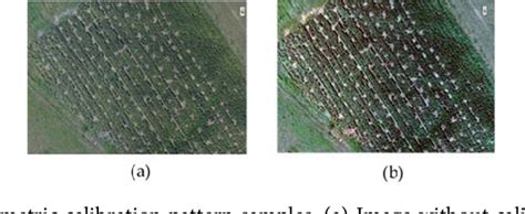 Figure 1 From Semantic Segmentation Based Remote Sensing Data Fusion On Crops Detection
