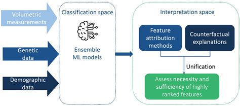 논문 리뷰 A Comprehensive Interpretable Machine Learning Framework For