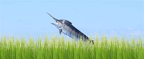 Packet Capture Analysis For Industrial Process Networks Is Grassmarlin Still Useful