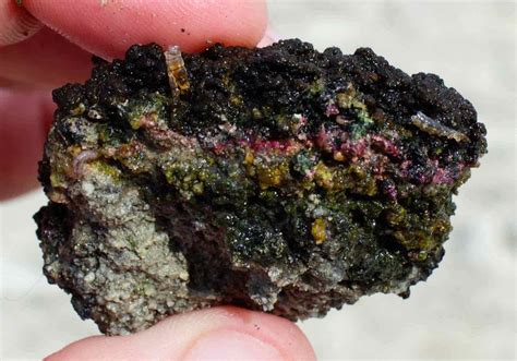 Cross‐sectional Image Of A South Arm Microbialite Hand Sample With