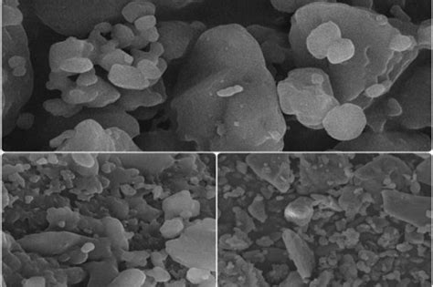 Design And Evaluation Of Isolated Herbal Extracts Of Aloin