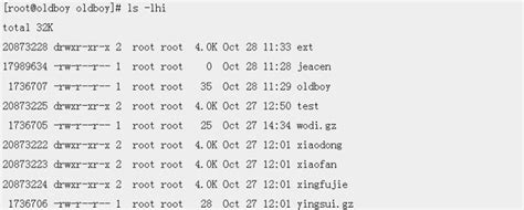 Linux文件和目录的属性及权限 程序员大本营