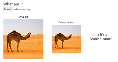 how to run machine learning models in the browser using onnx hackernoon