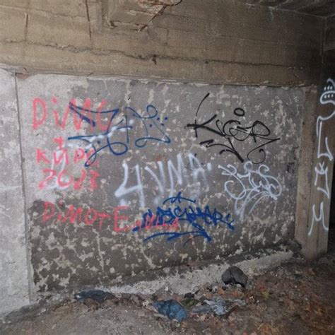 Влязох да Трайчо Трайков кмет на район „Средец“